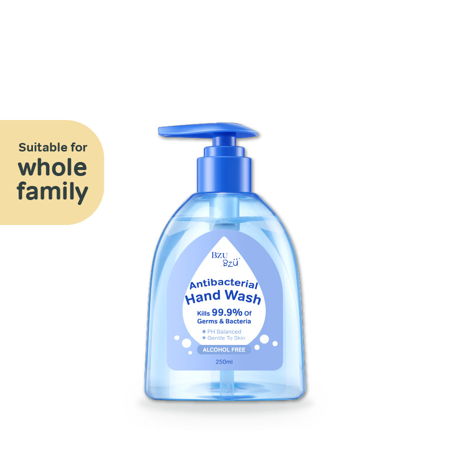 Antibacterial Hand Wash (250ml) – BZU BZU MALAYSIA